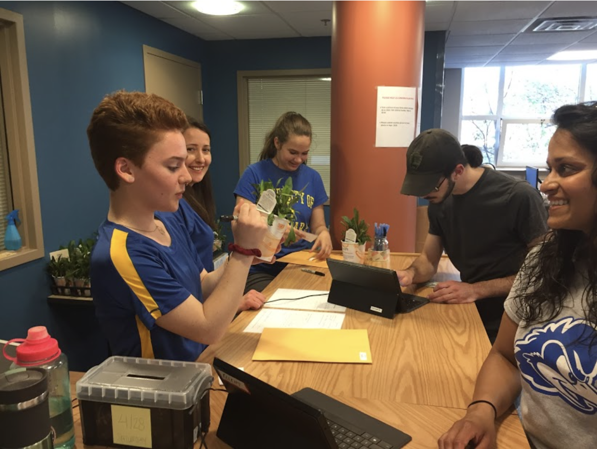 project wicced-plants local | Project WiCCED