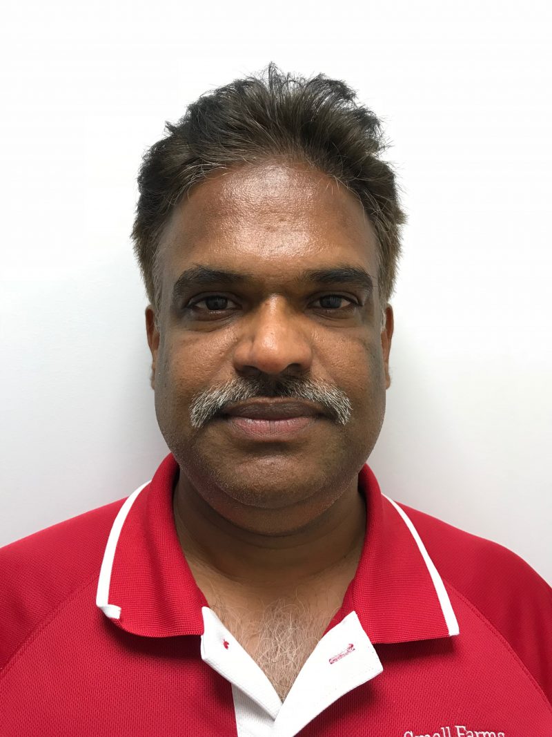 Sathya Elavarthi | Project WiCCED